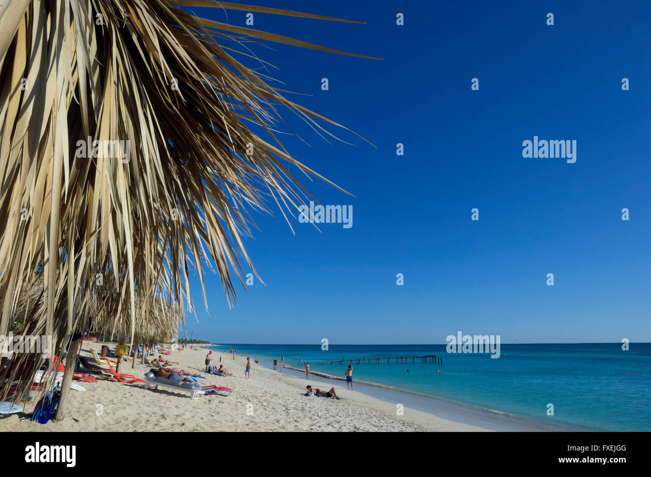 South coast trinidad hi-res stock photography and images - Alamy