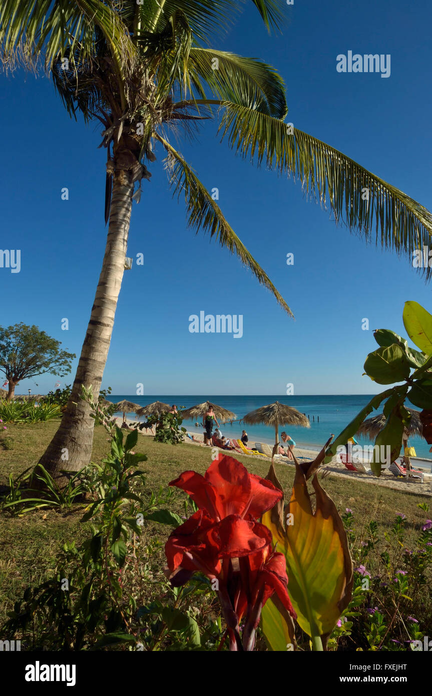 Ancon Beach. Trinidad. Cuba Stock Photo - Alamy