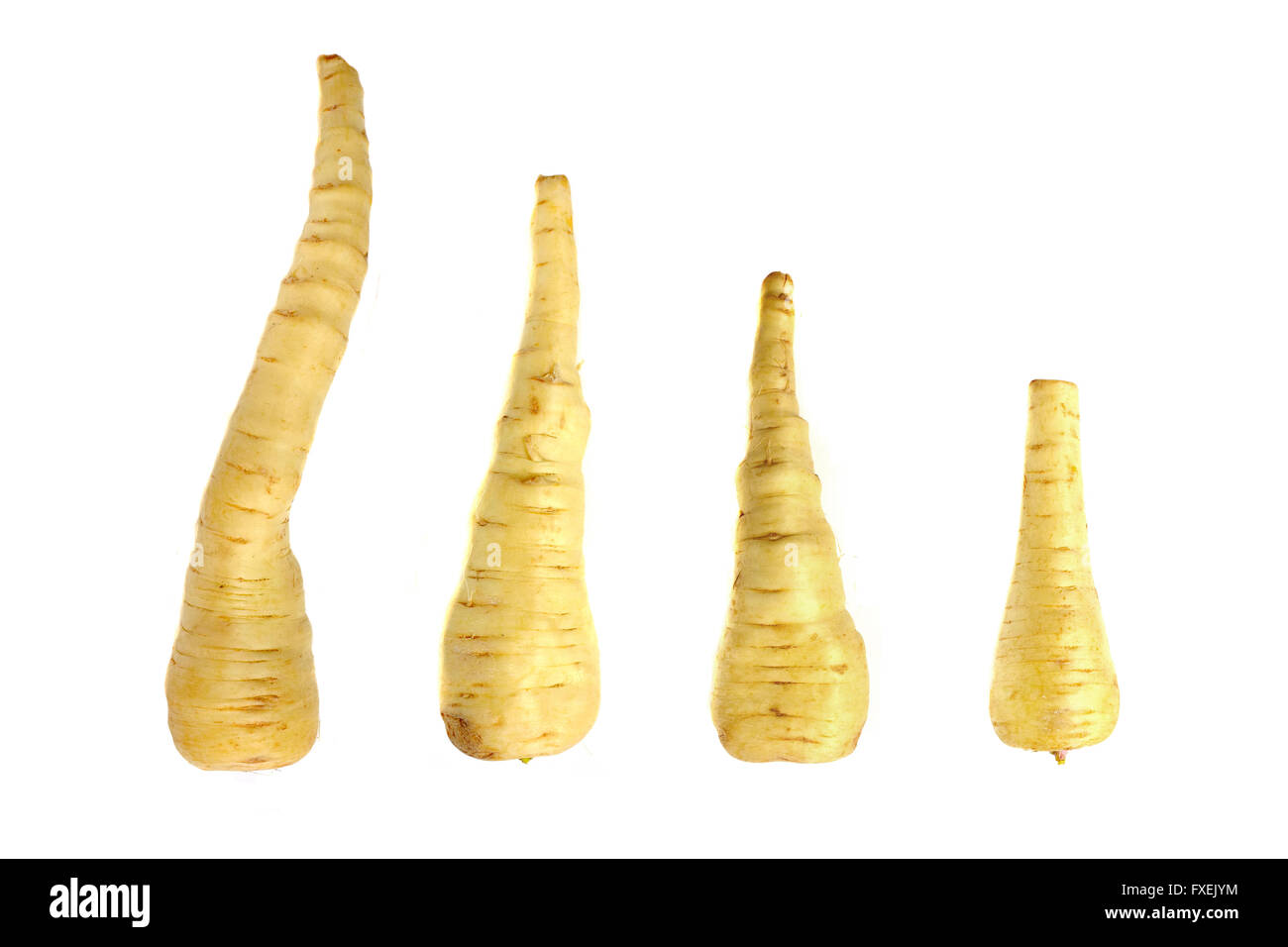 Misshapen Vegetables