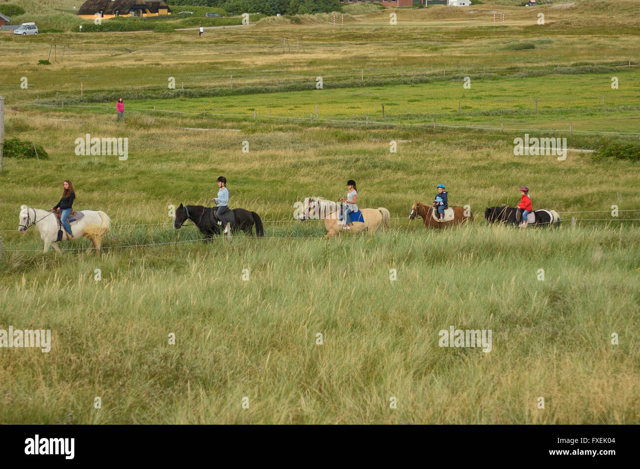 Horse riding. Hvide Sande. West Jutland. Denmark. Europe Stock Photo ...