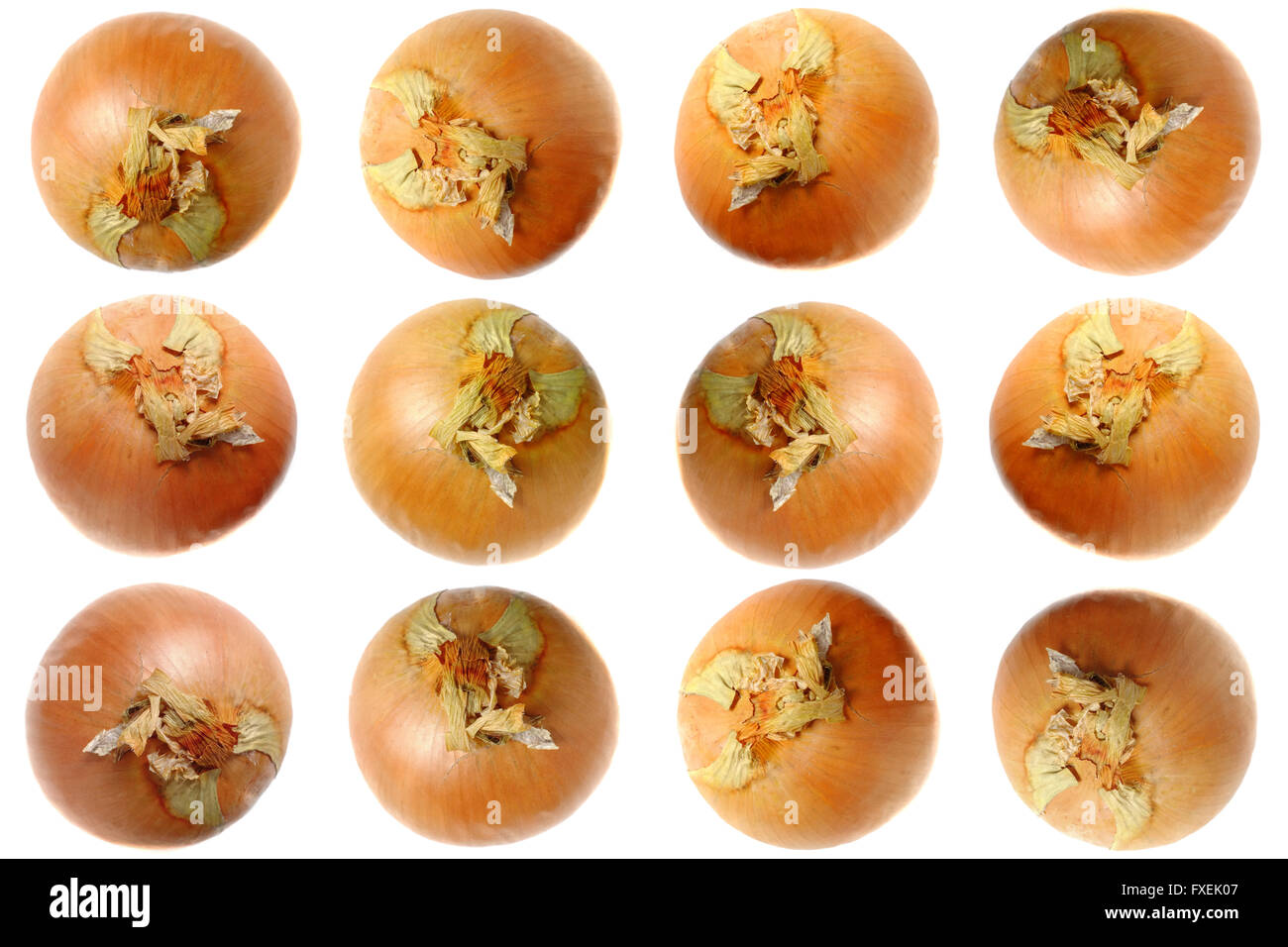 A grid of yellow onions seen from above photographed against a white ...