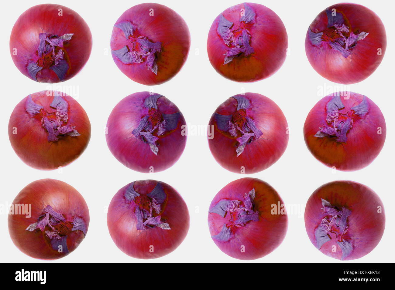 A grid of red onions photographed against a white background Stock ...
