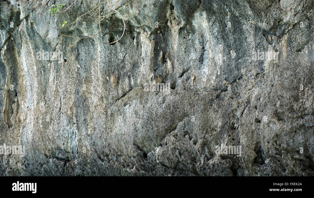 limestone rocks oh thai island ko phi phi Stock Photo - Alamy