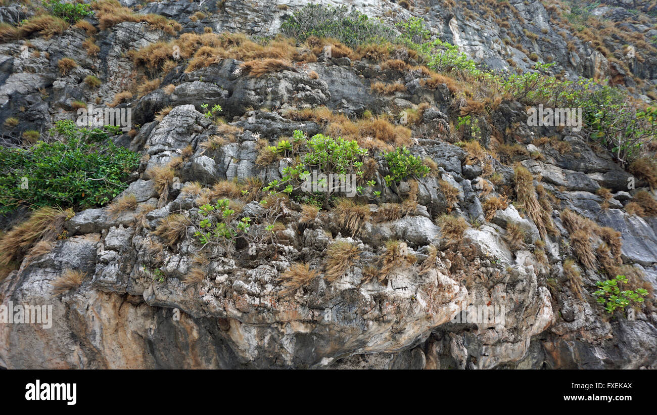 limestone rocks oh thai island ko phi phi Stock Photo - Alamy