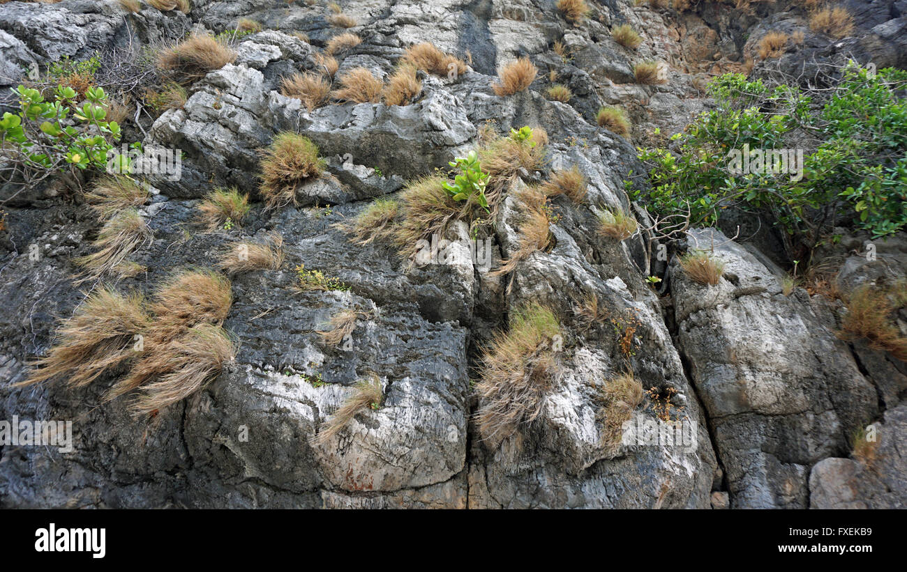 limestone rocks oh thai island ko phi phi Stock Photo - Alamy