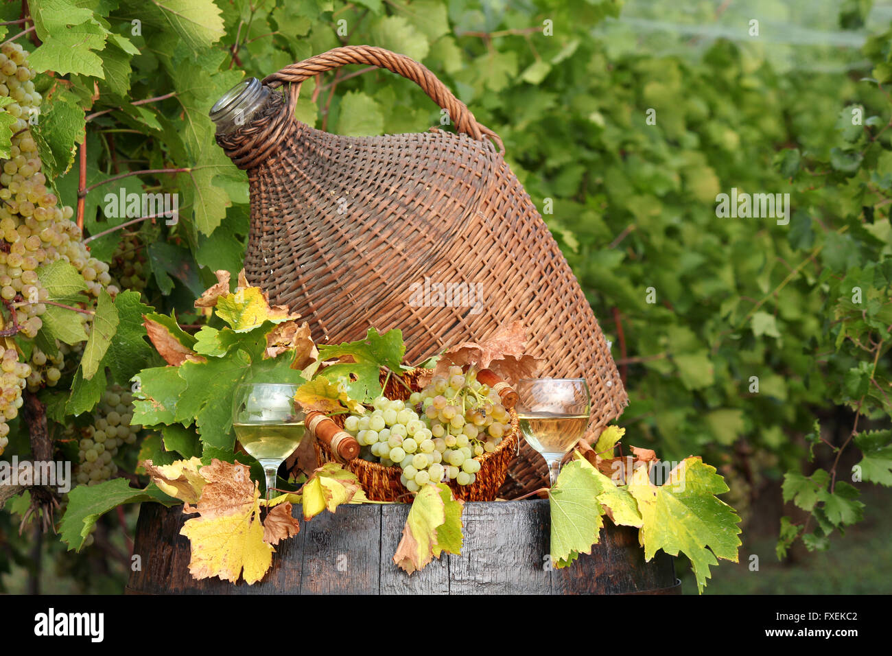Grape scene hi-res stock photography and images - Alamy