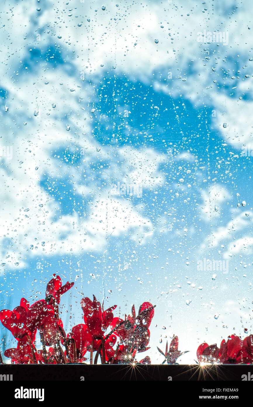 Raining flowers hi-res stock photography and images - Alamy
