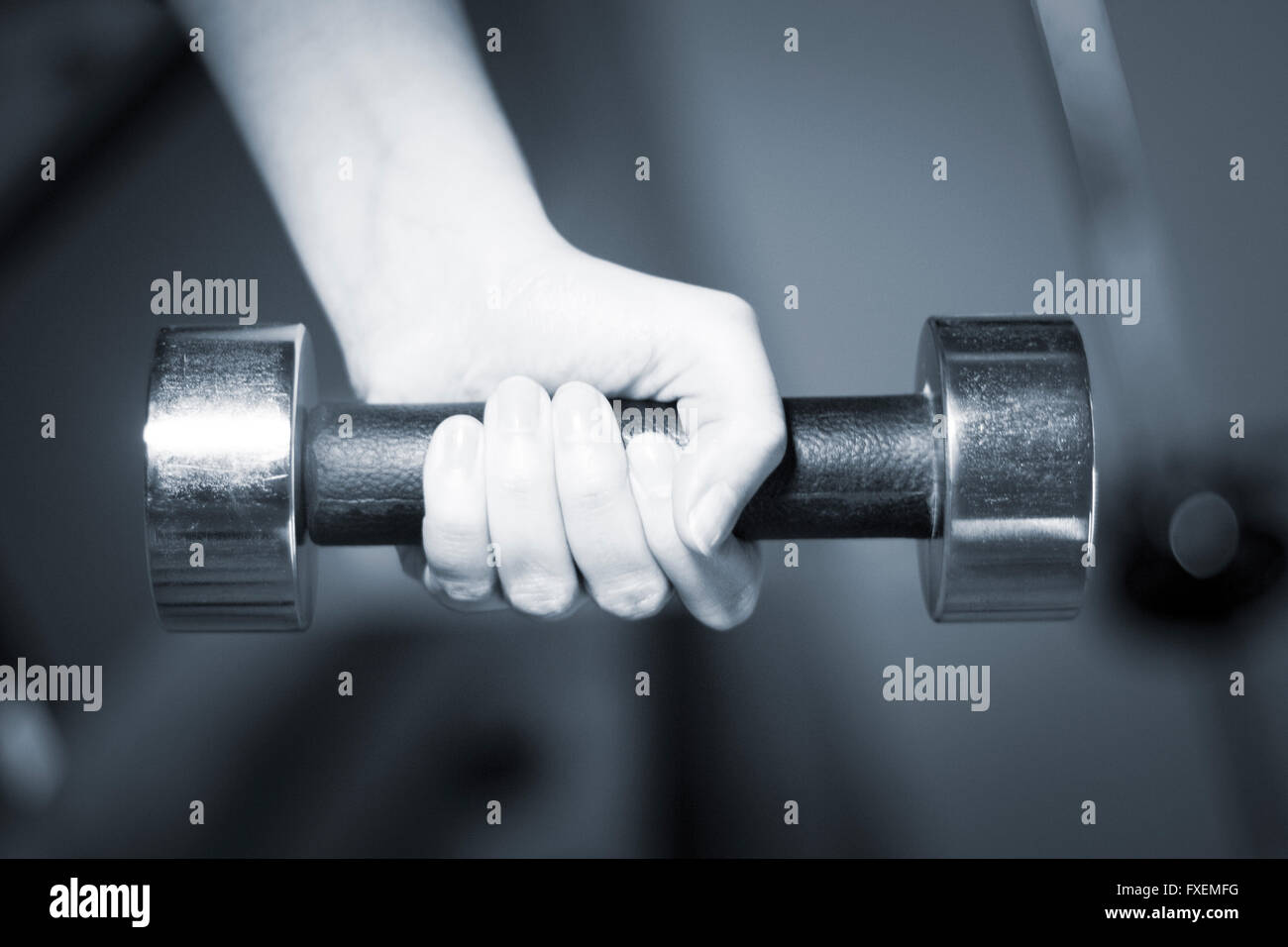 Dumbell weight in hand in fitness gym for weight training, bodybuilding ...
