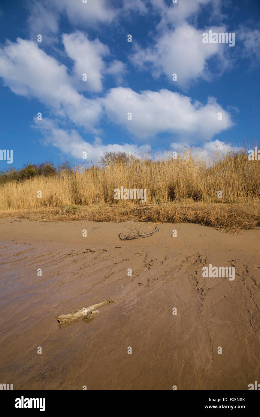 River Severn sandy shoreline Stock Photo - Alamy