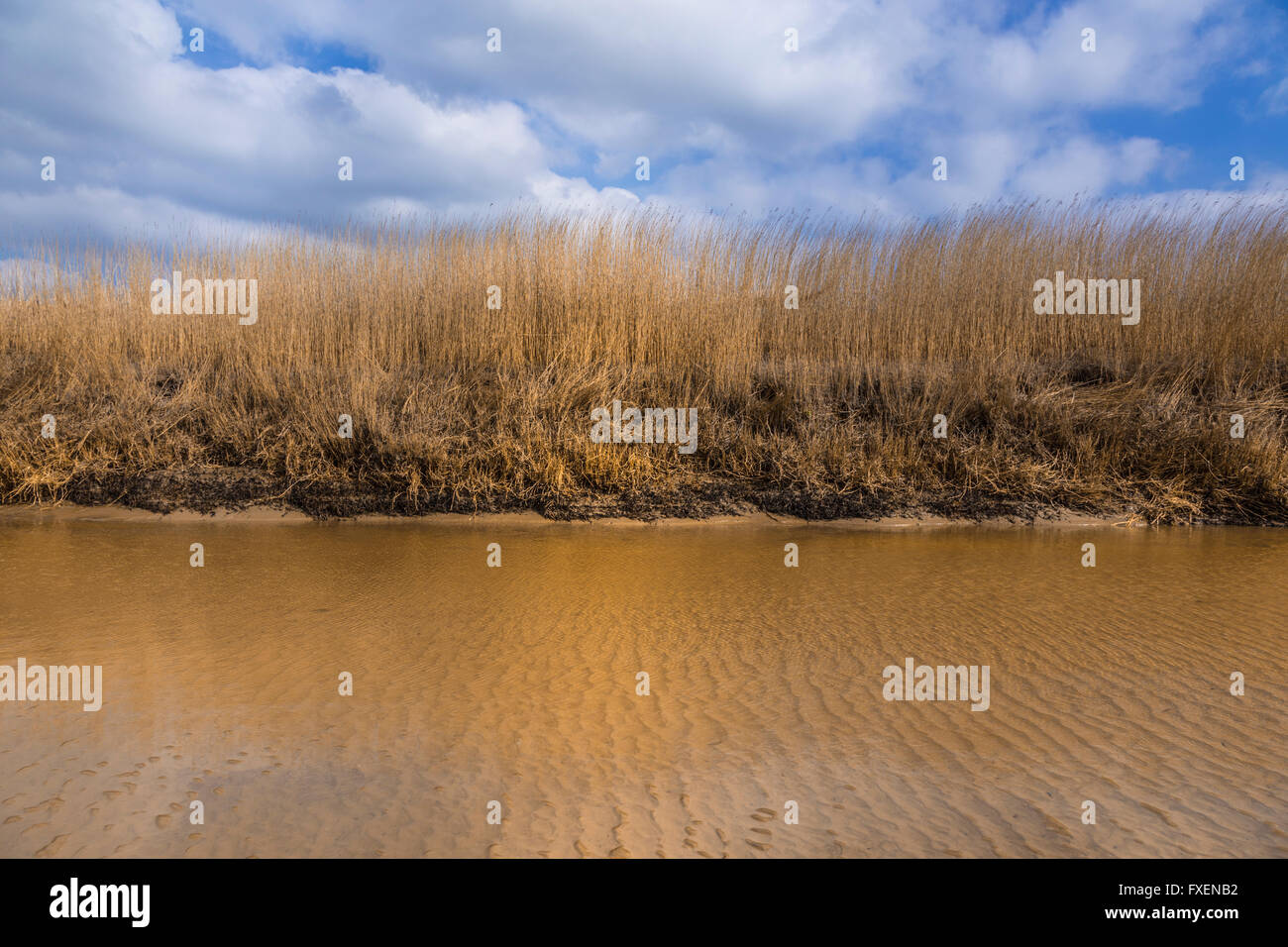 River Severn sandy shoreline Stock Photo - Alamy