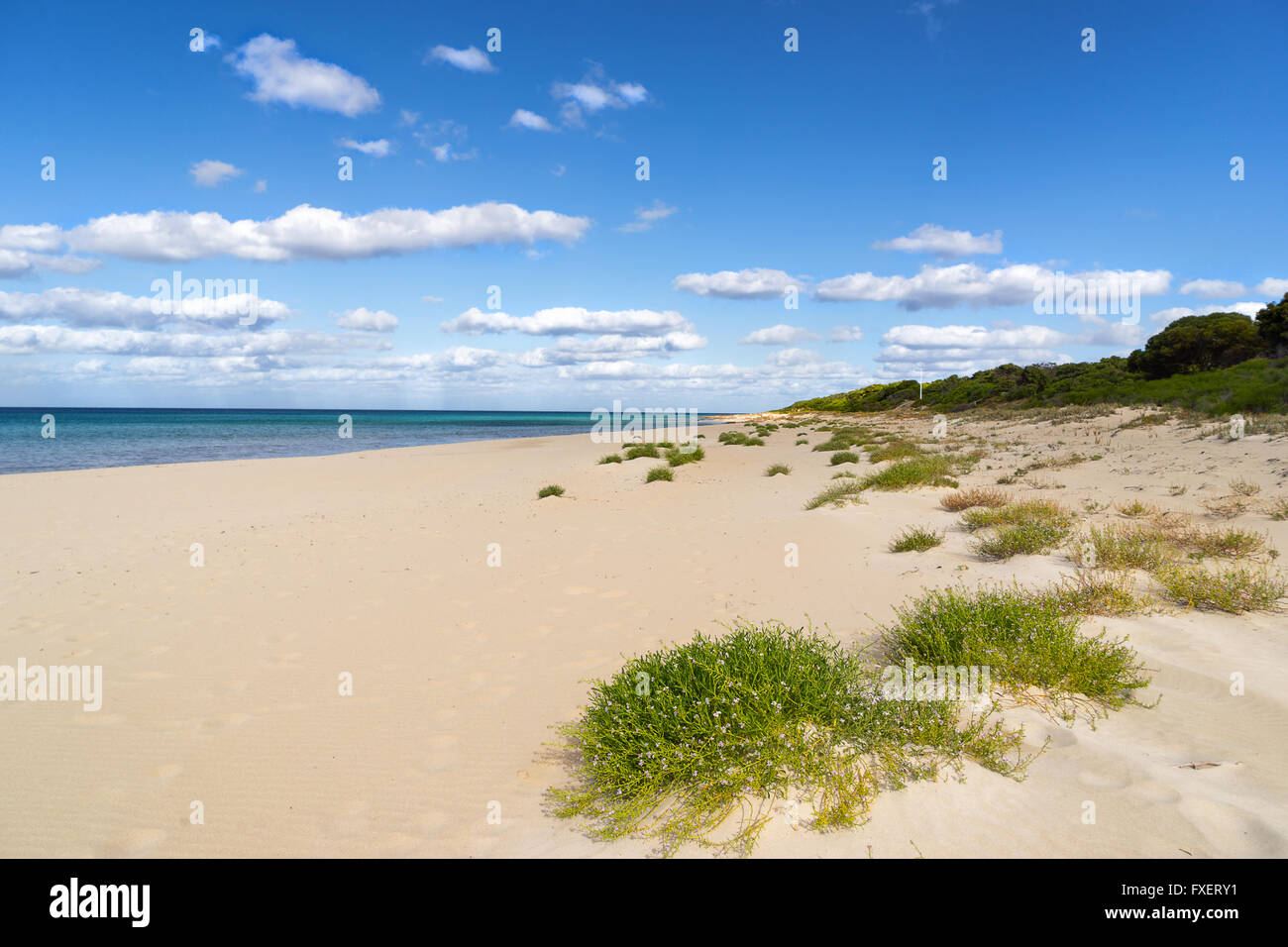 Eagle Bay in western Australia Stock Photo - Alamy