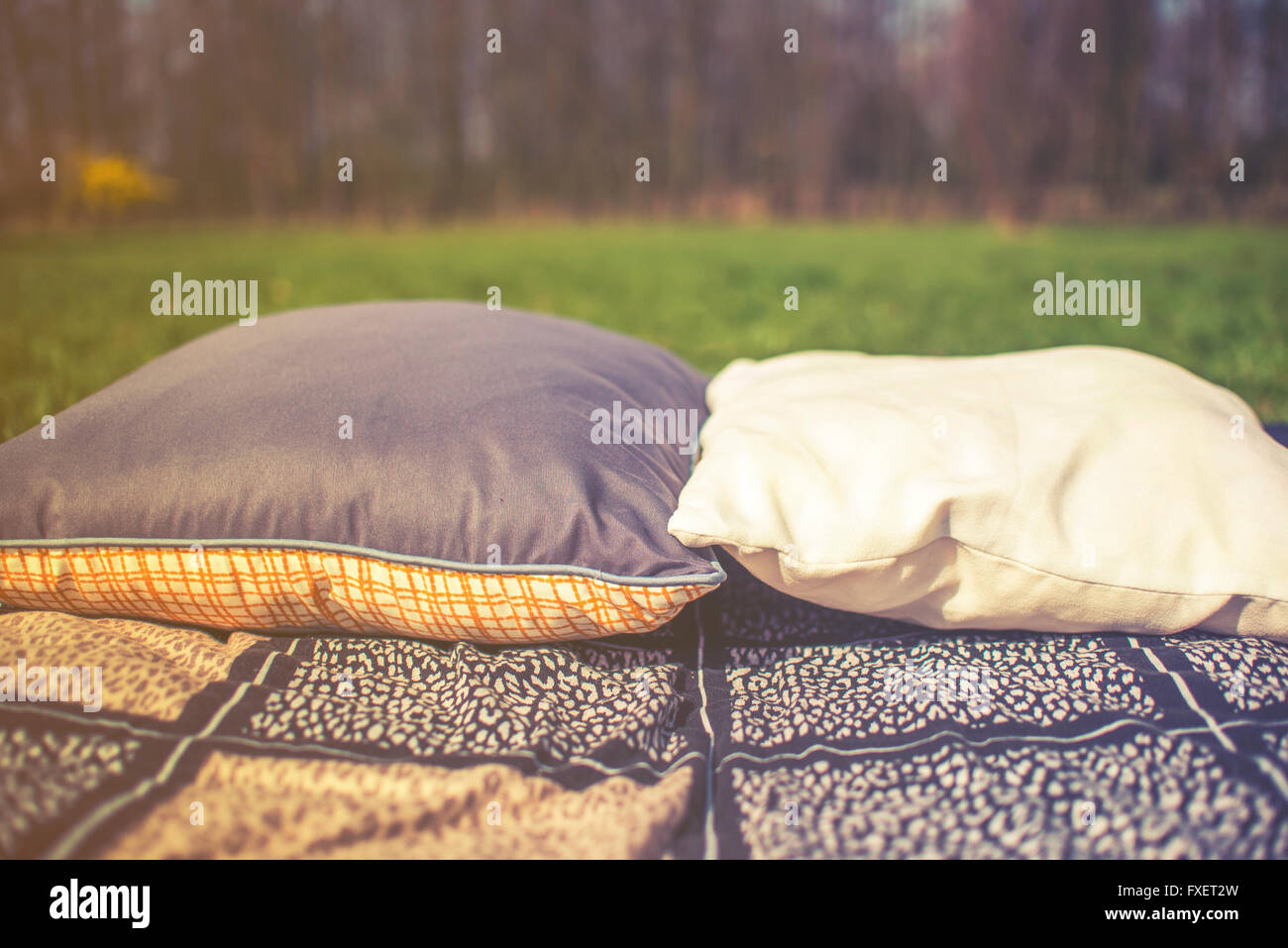 picnic blanket with pillow on the grass field Stock Photo - Alamy