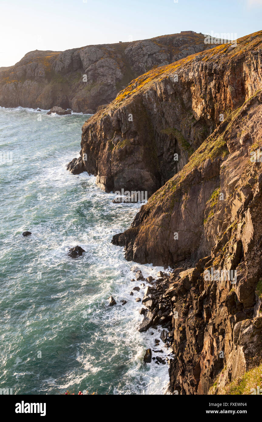 Soft sunlight on dramatic high cliffs near Pwll Deri on the ...