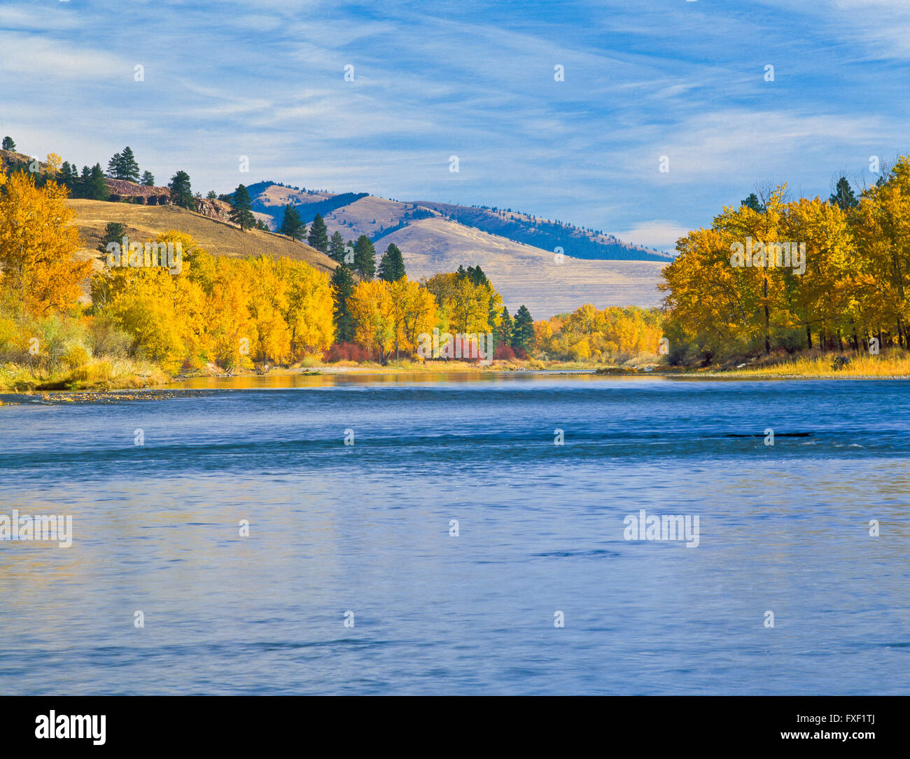 fall colors along the bitterroot river near missoula, montana Stock ...
