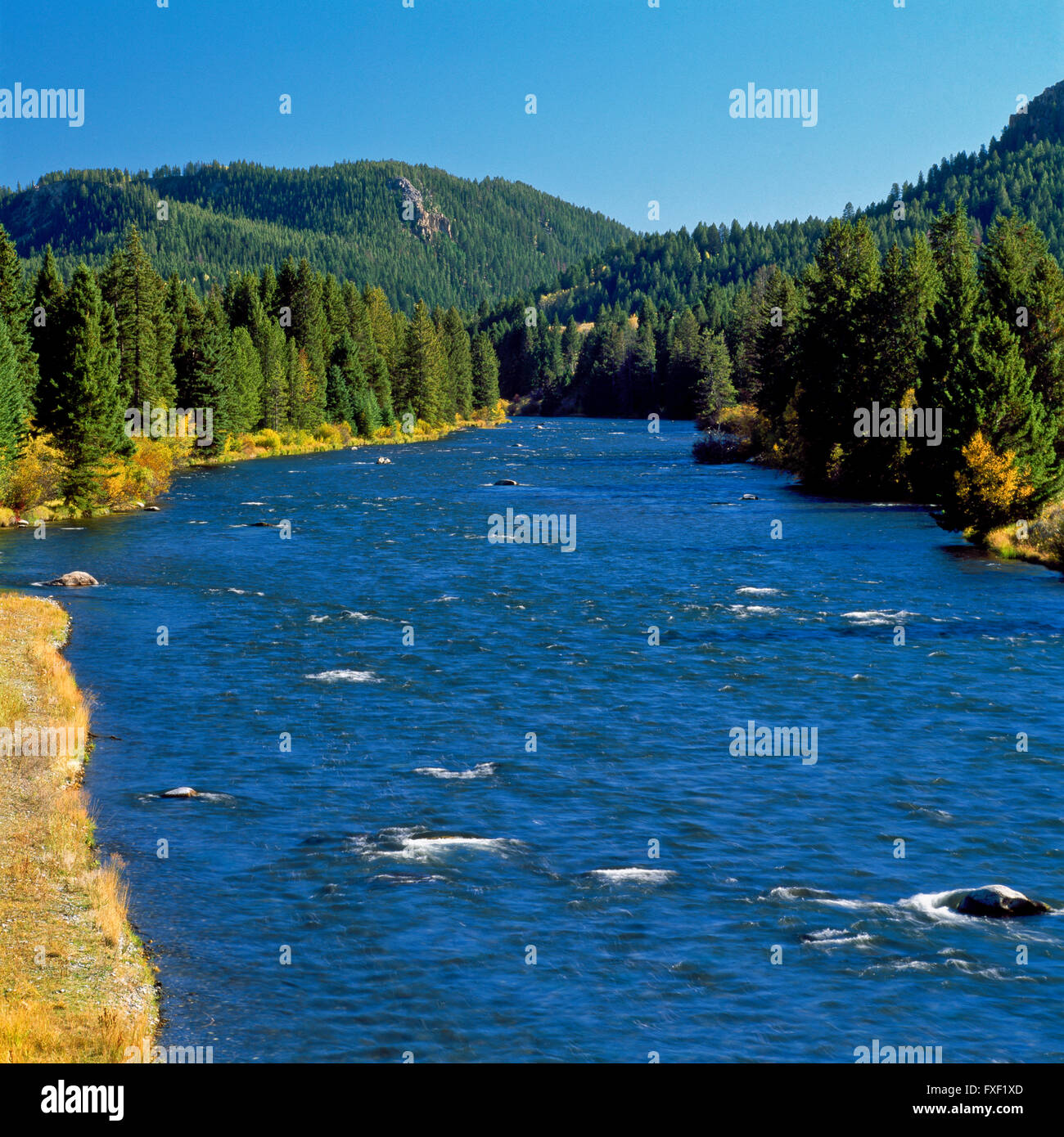 upper madison river in beaverhead-deerlodge national forest below quake ...
