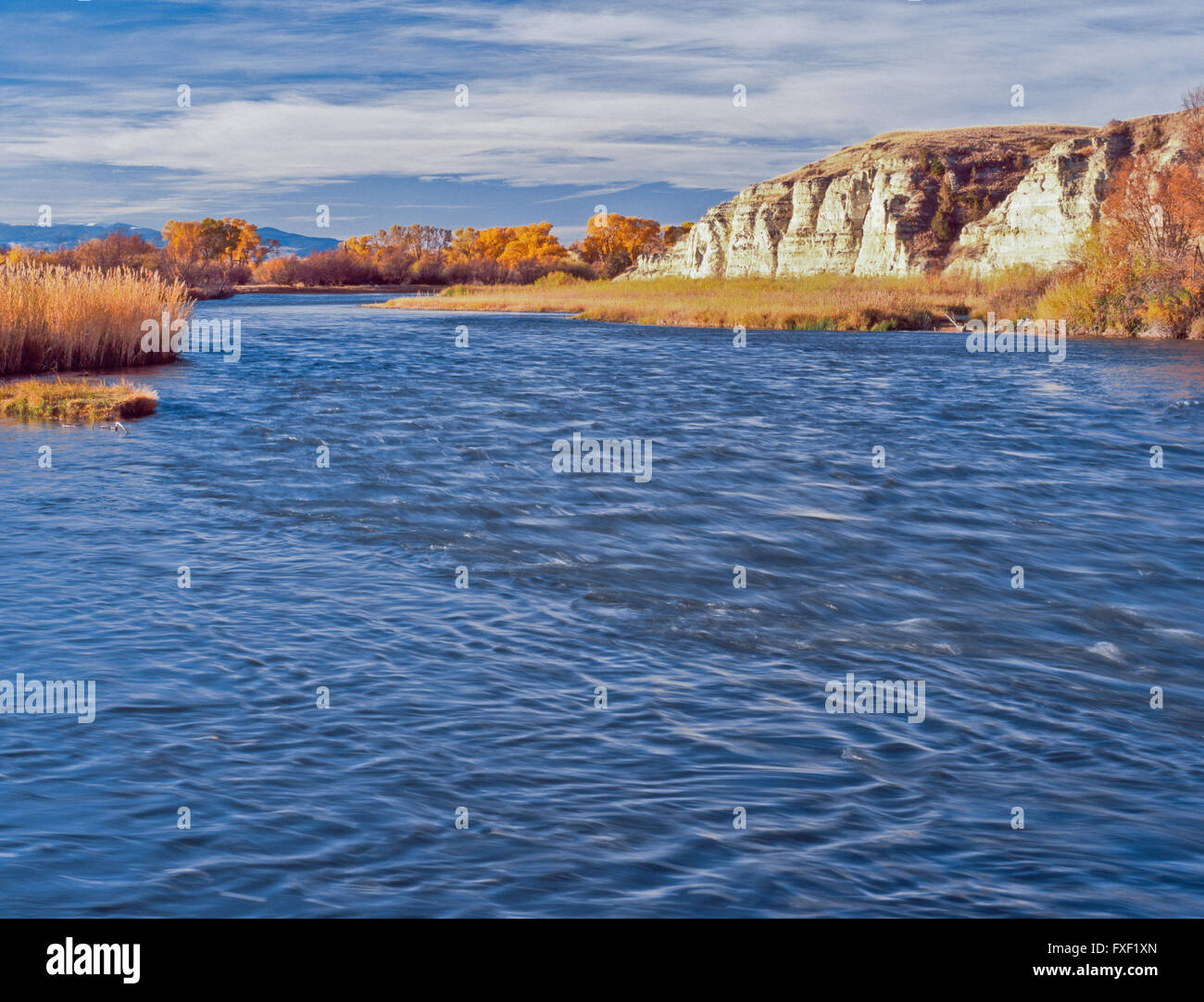 fall colors along the madison river at cobblestone fishing access near ...