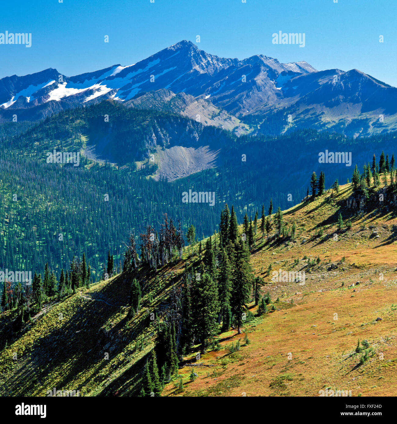 swan peak in the swan range along the western edge of the bob marshall ...