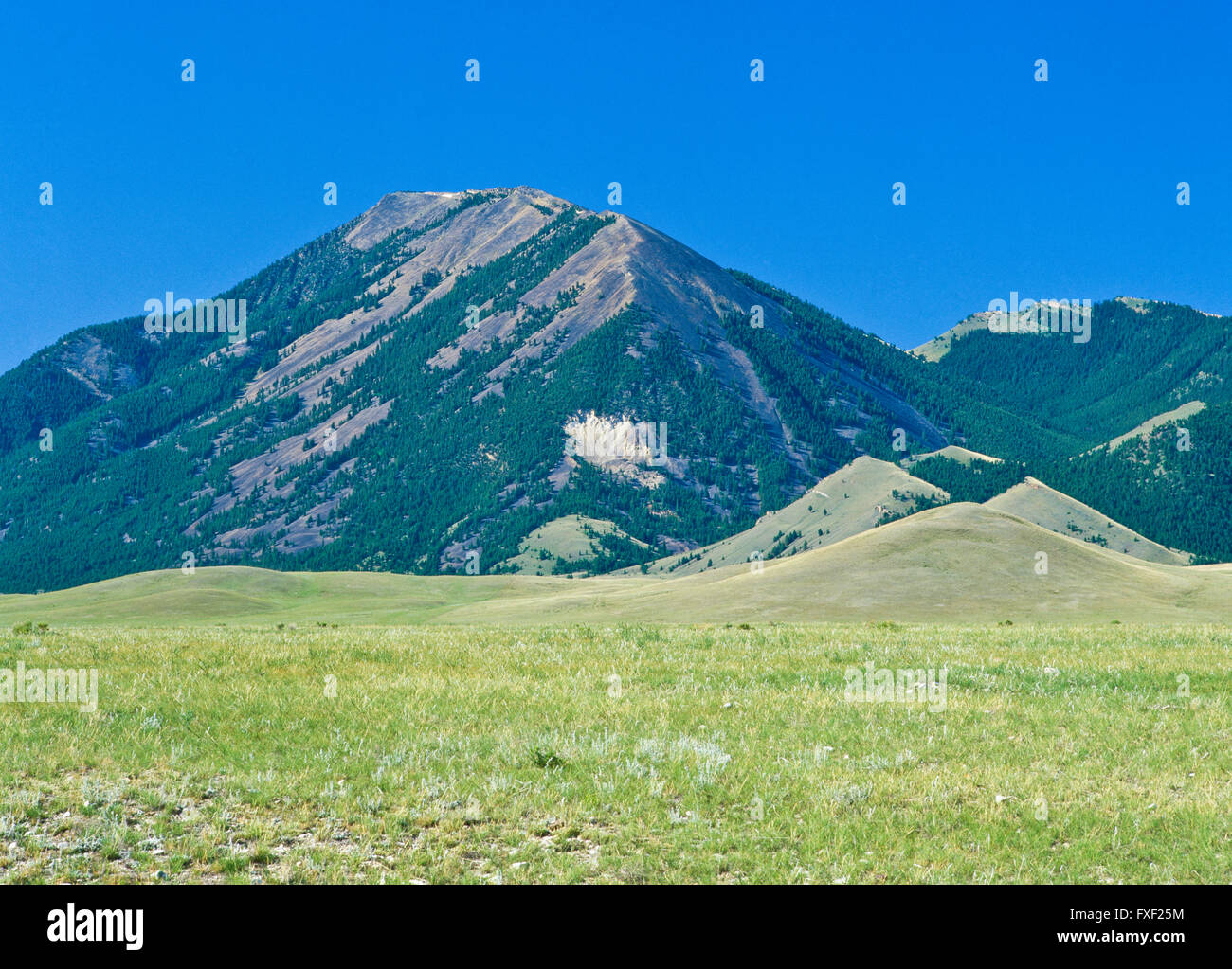 dixon mountain in the tendoy mountains near dell, montana Stock Photo ...