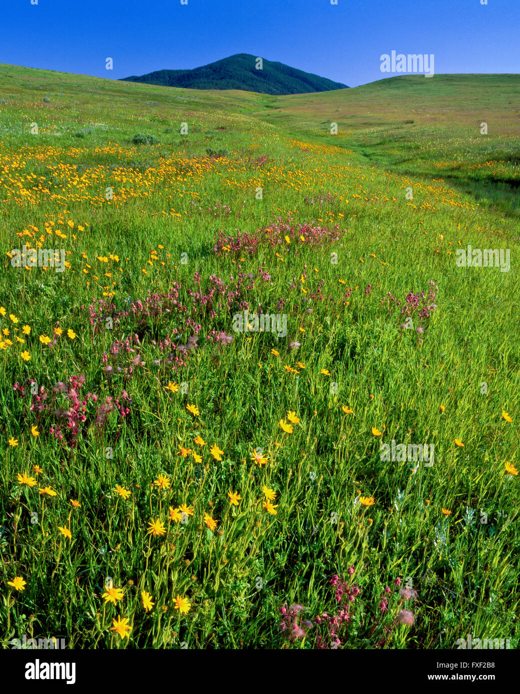 Judith mountains hi-res stock photography and images - Alamy