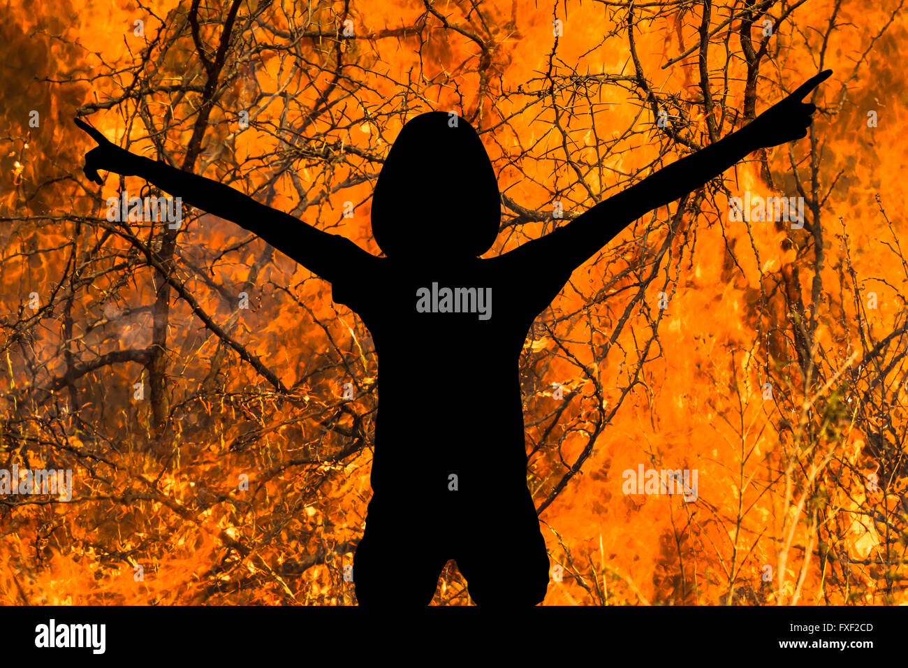 Devil in fire Stock Photo - Alamy