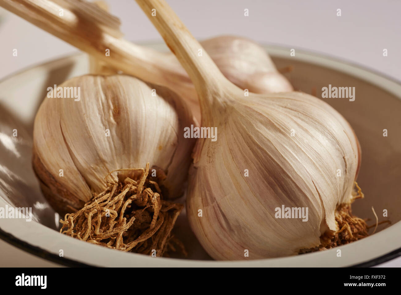 Whole heads of fresh hard necked garlic Stock Photo - Alamy