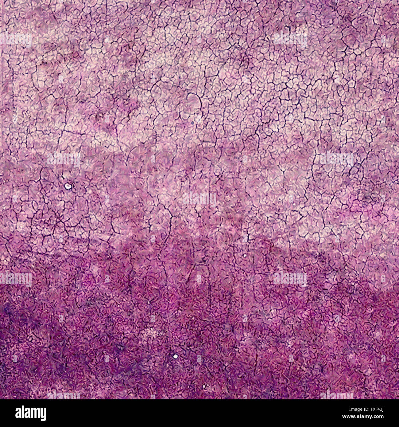 Antique vintage texture background Stock Photo - Alamy