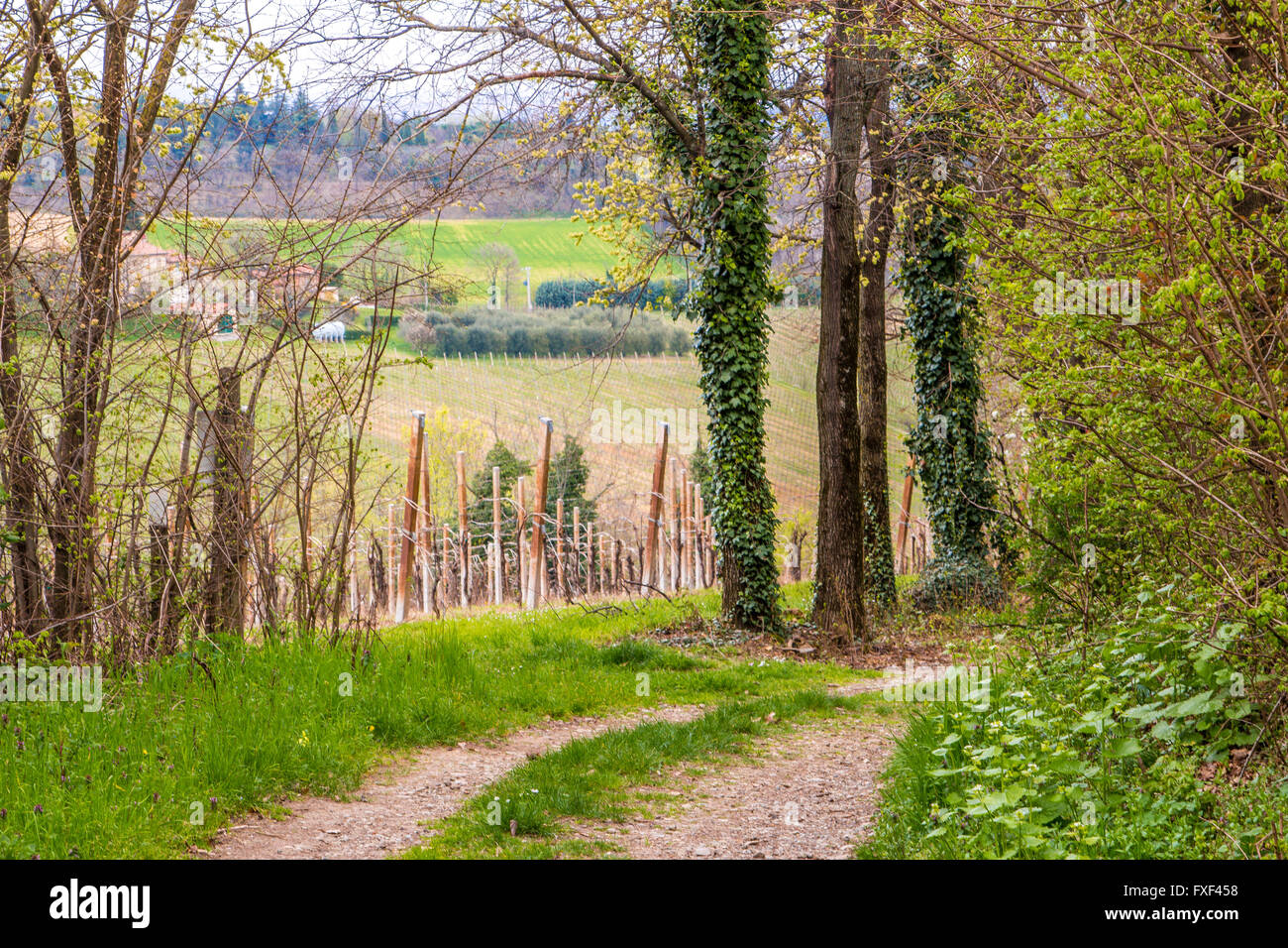 Country road running hi-res stock photography and images - Alamy