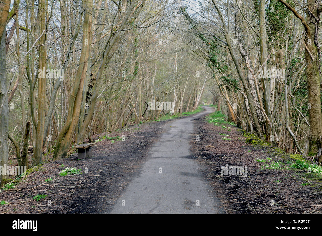 Cuckoo trail horam hi-res stock photography and images - Alamy