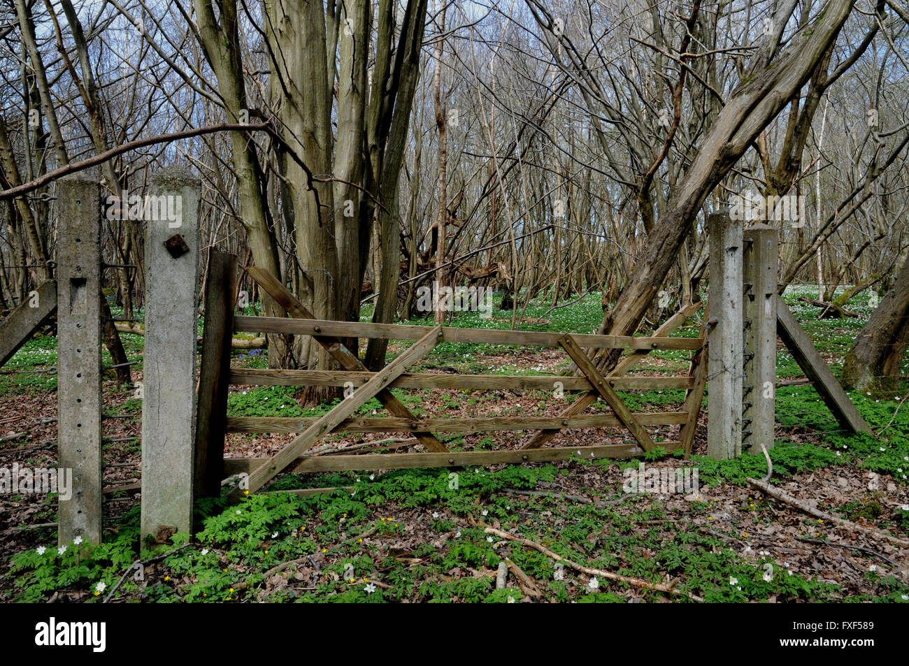 Cuckoo railway hi-res stock photography and images - Alamy