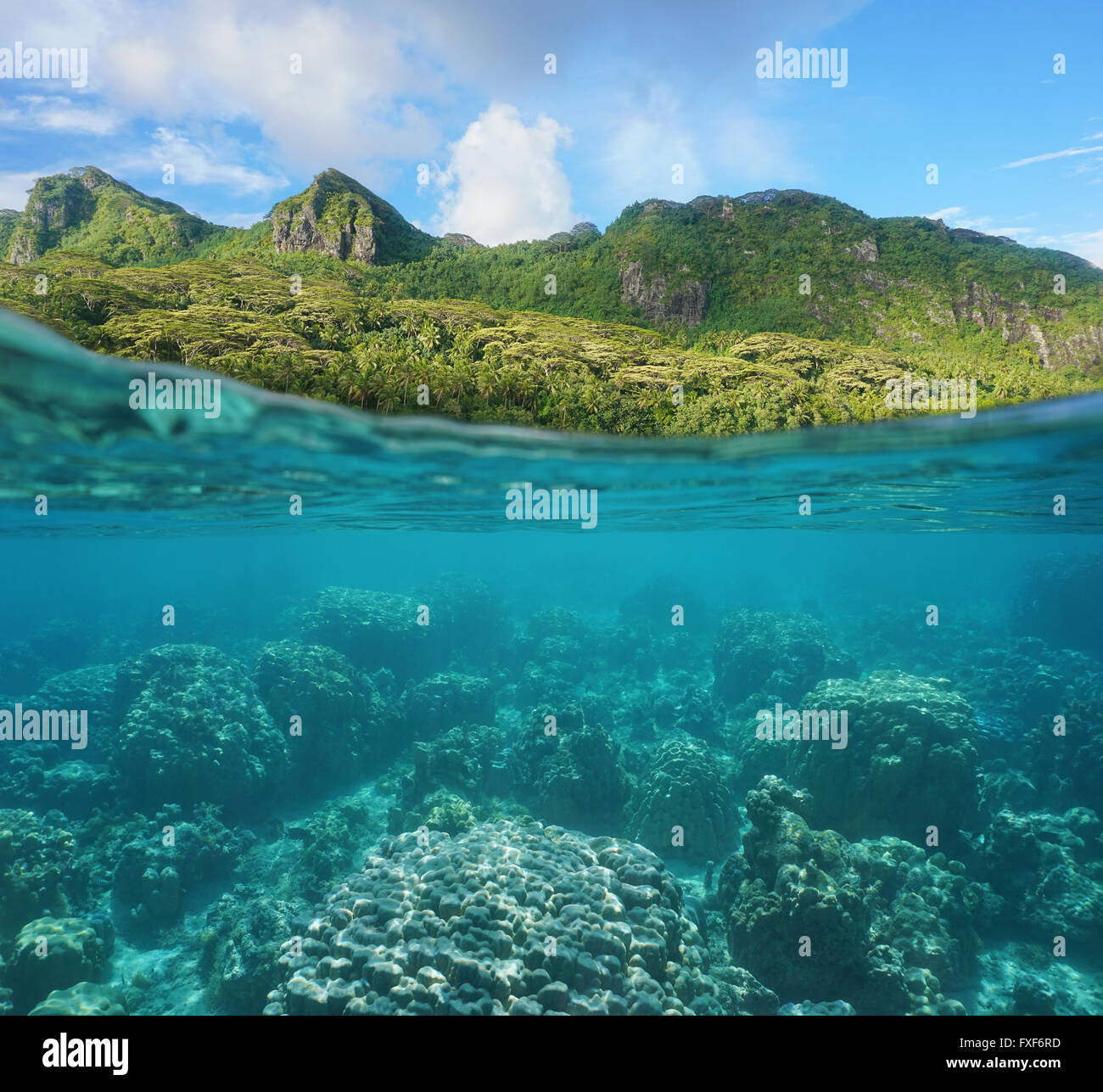 Above and below water surface, lush coast and coral reef underwater ...