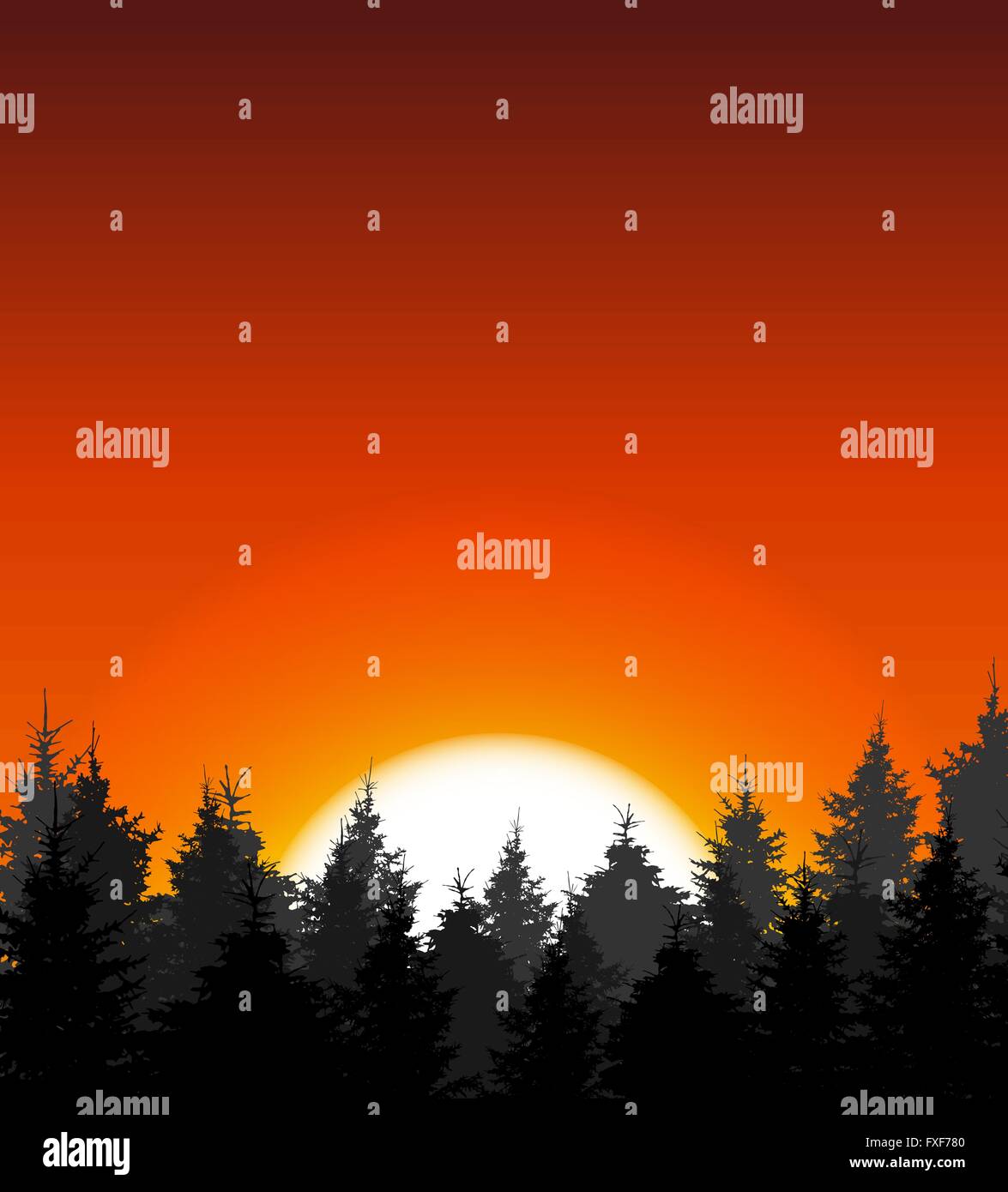 Grass back lit summer Stock Vector Images - Alamy