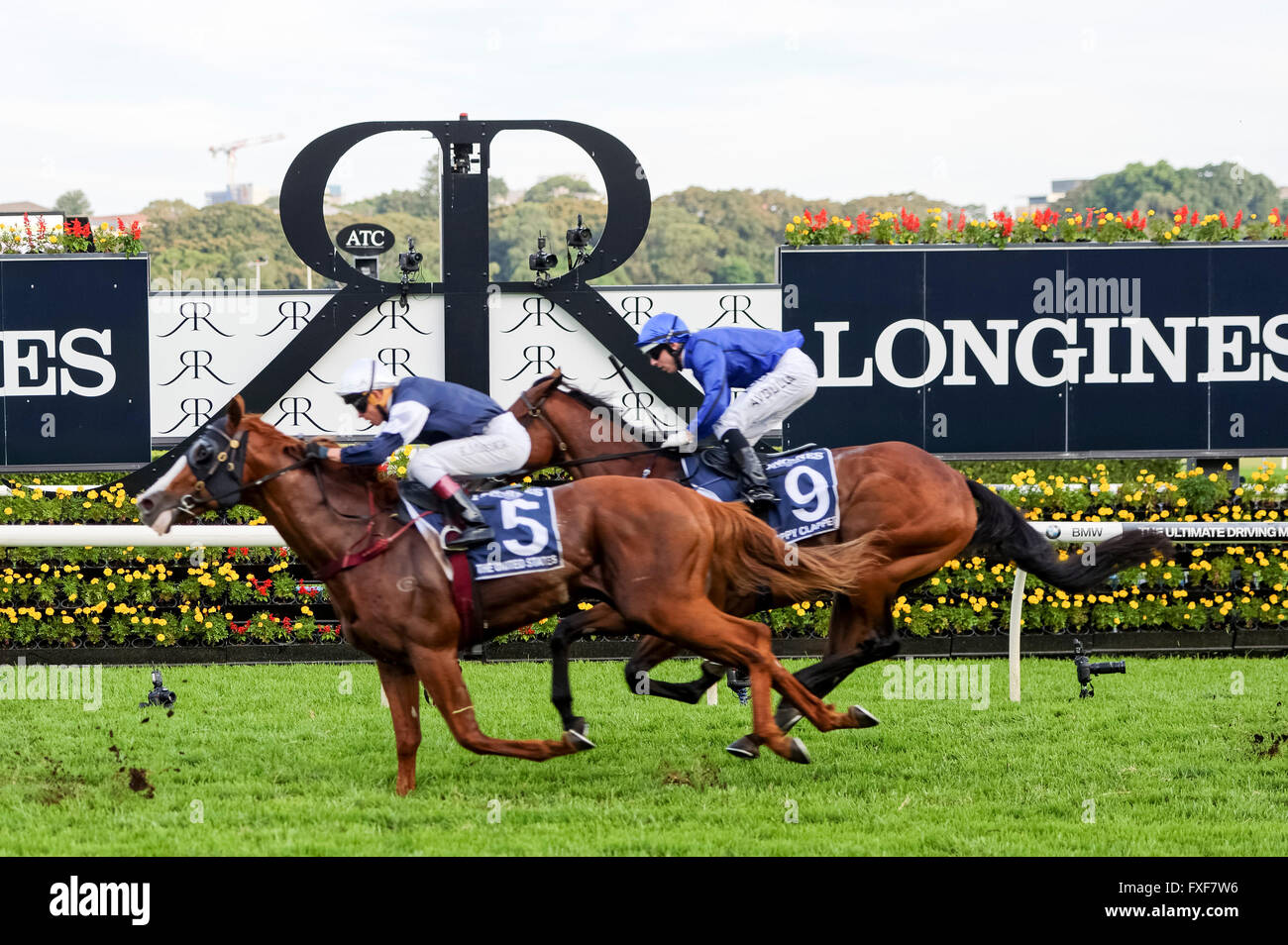 'The United States' (5) and 'Happy Clapper' (9) cross the finish in the ...