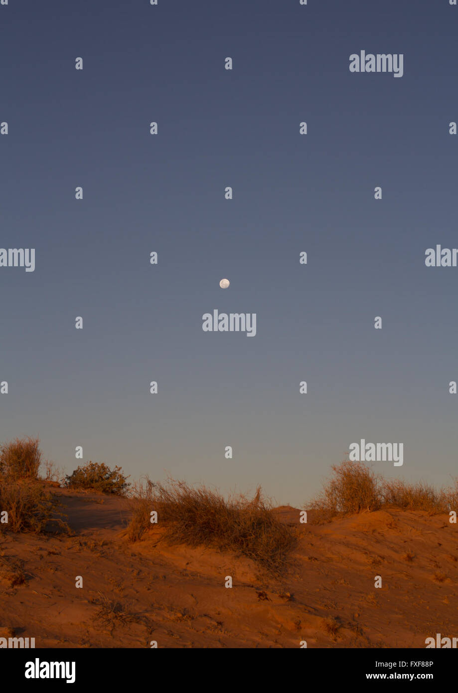 Moon high up the sky at daylight in the desert. In Bedourie, Queensland ...