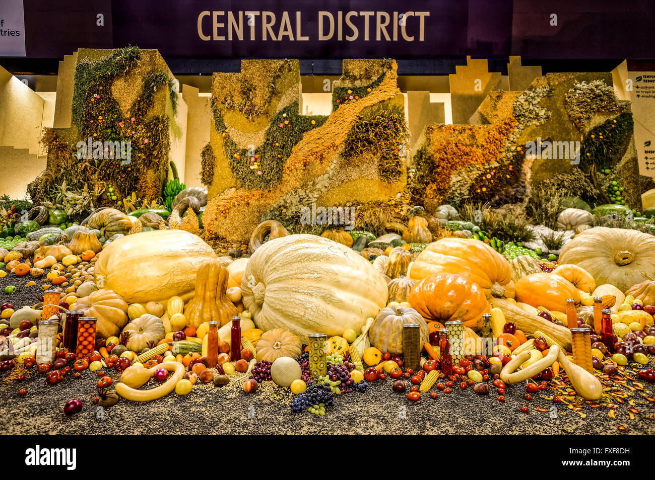 The District Exhibits Competition, one of the highlights of The Sydney ...