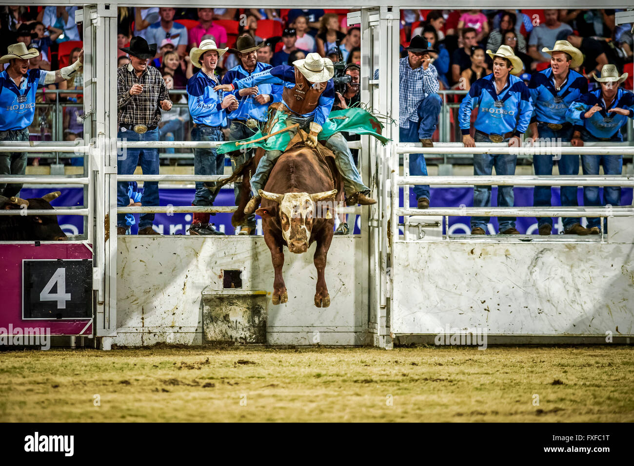 Tim Amey (NSW) rides a bull as team mates look on during the Sydney ...