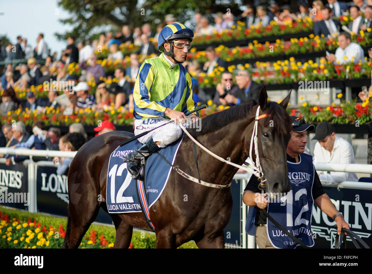 Jockey damien oliver hi-res stock photography and images - Alamy