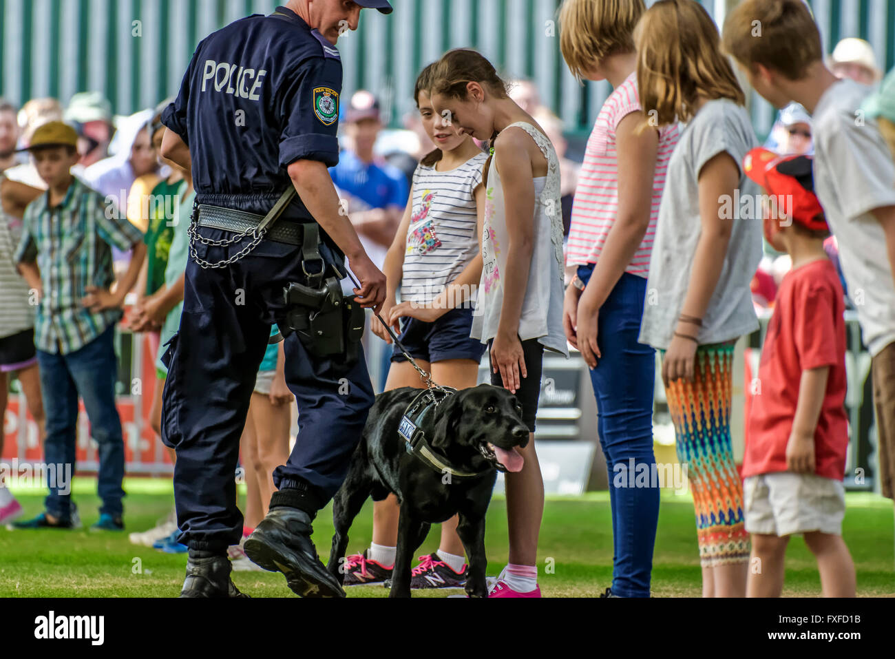 The New South Wales Police Dog Unit put on a display of police and ...