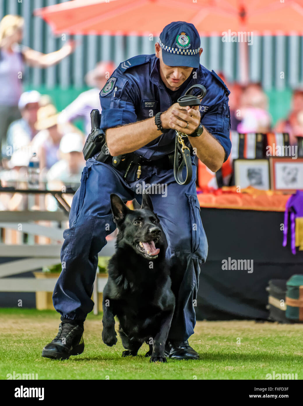 Police Dog Display During New High Resolution Stock Photography and ...