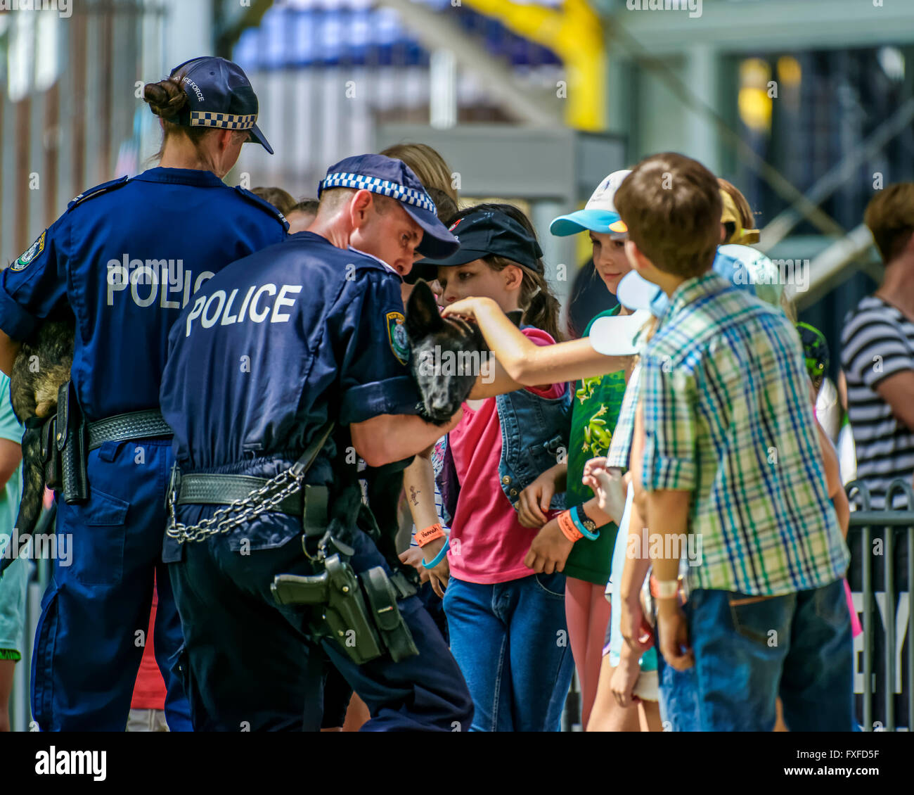 Police Dog Display During New High Resolution Stock Photography and ...