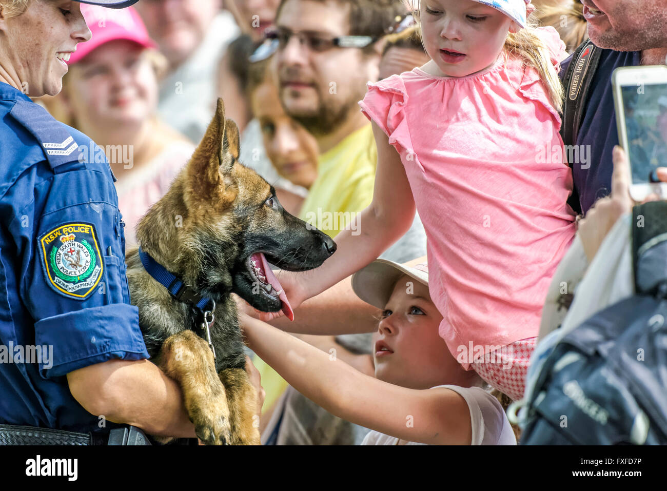 The New South Wales Police Dog Unit put on a display of police and ...