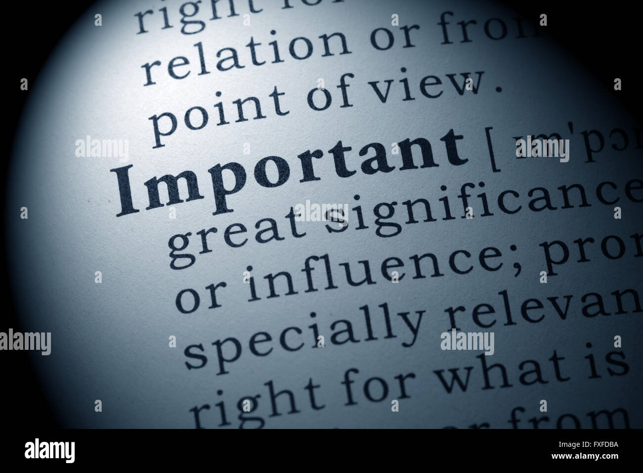 Fake Dictionary, Dictionary definition of the word important Stock ...