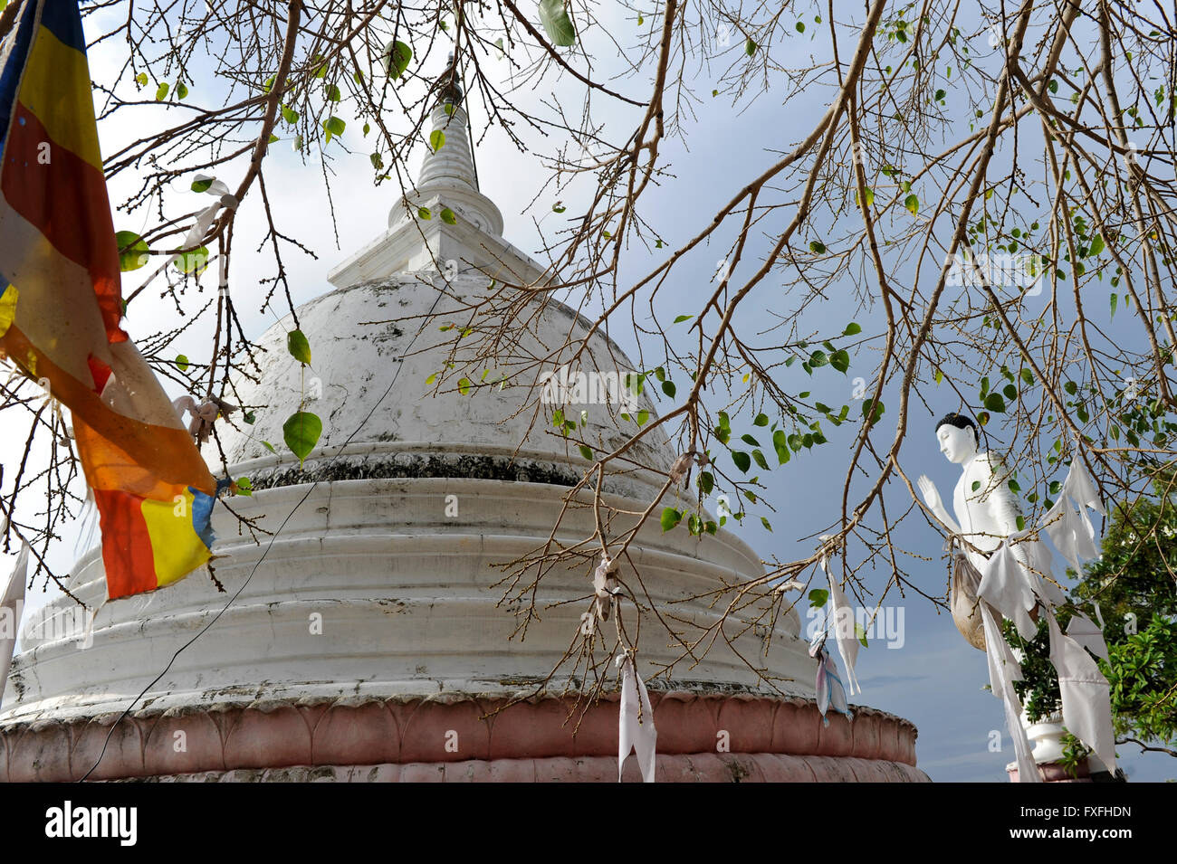 SRI LANKA Trincomalee , Fort Frederick, new Buddha statue close to the ...