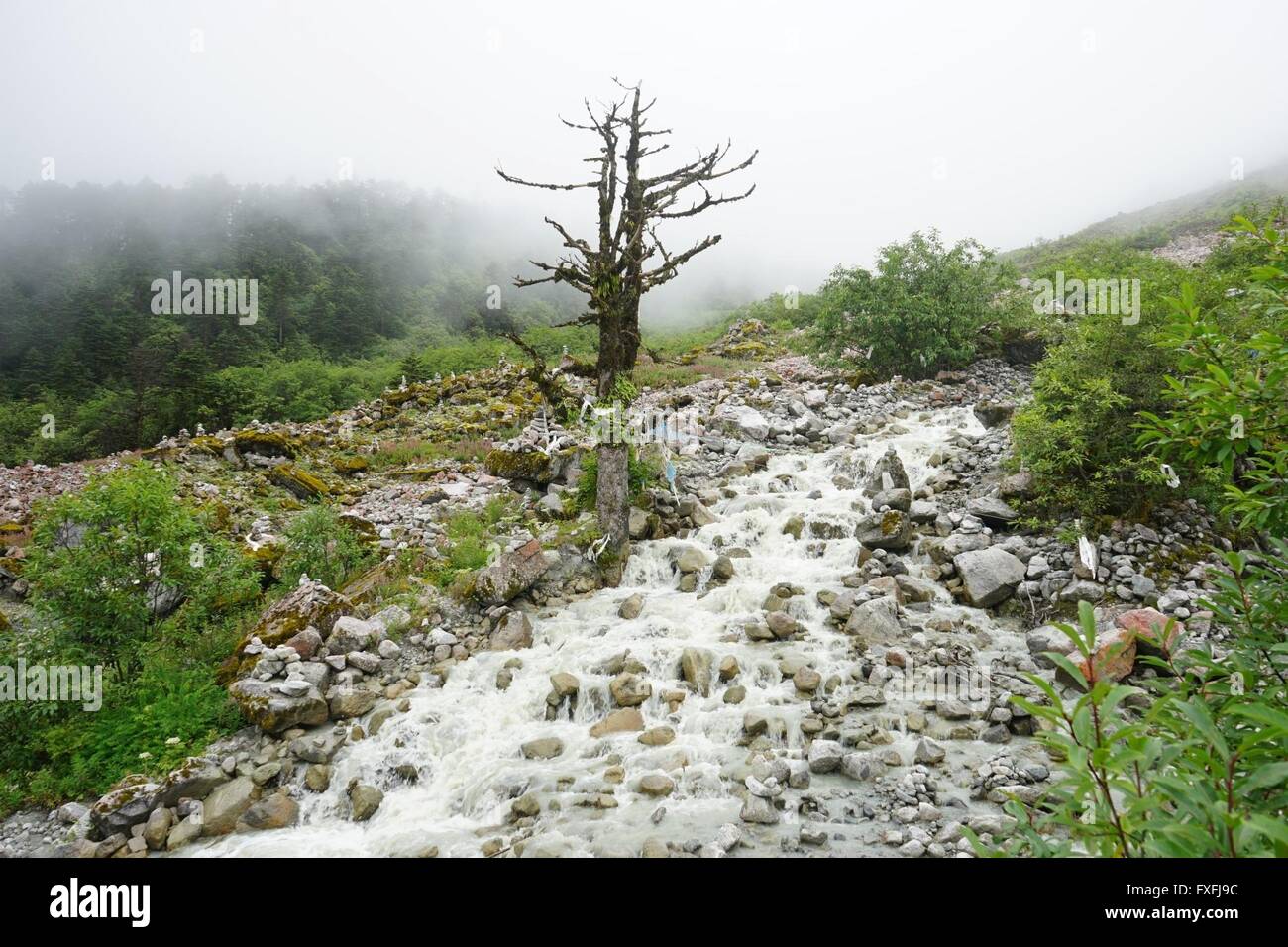 Organs mountain hi-res stock photography and images - Alamy
