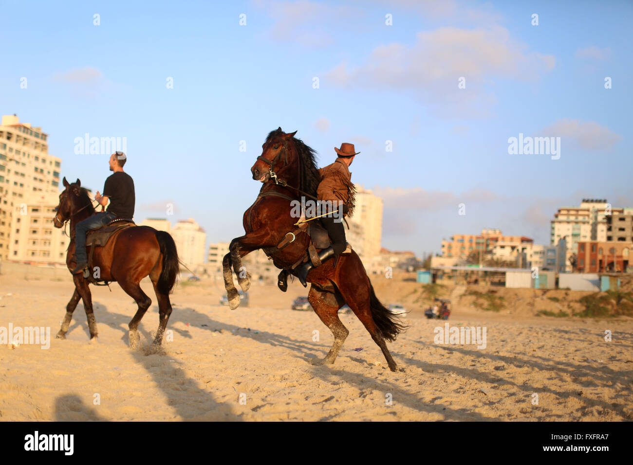 Palestinian horse hi-res stock photography and images - Alamy