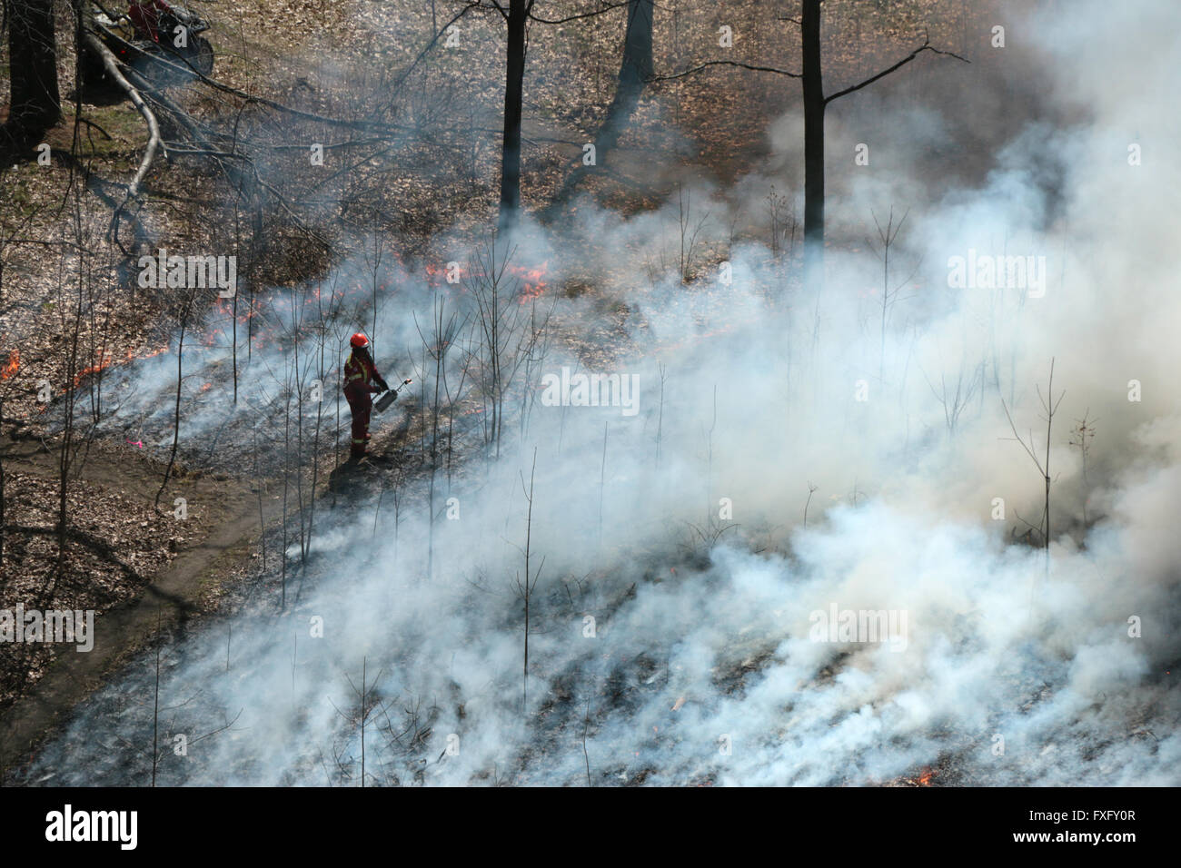Controlled burn canada hi-res stock photography and images - Alamy