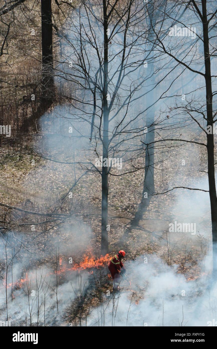 Toronto fire hi-res stock photography and images - Alamy