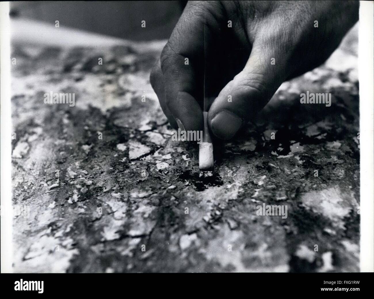 1956 - See what i mean? Indestructible Mr.Mann stubs out his cigarette ...