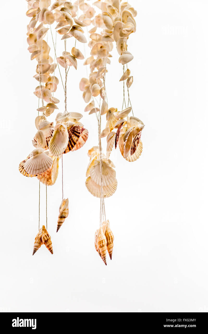 Hanging shells isolated on white background Stock Photo - Alamy