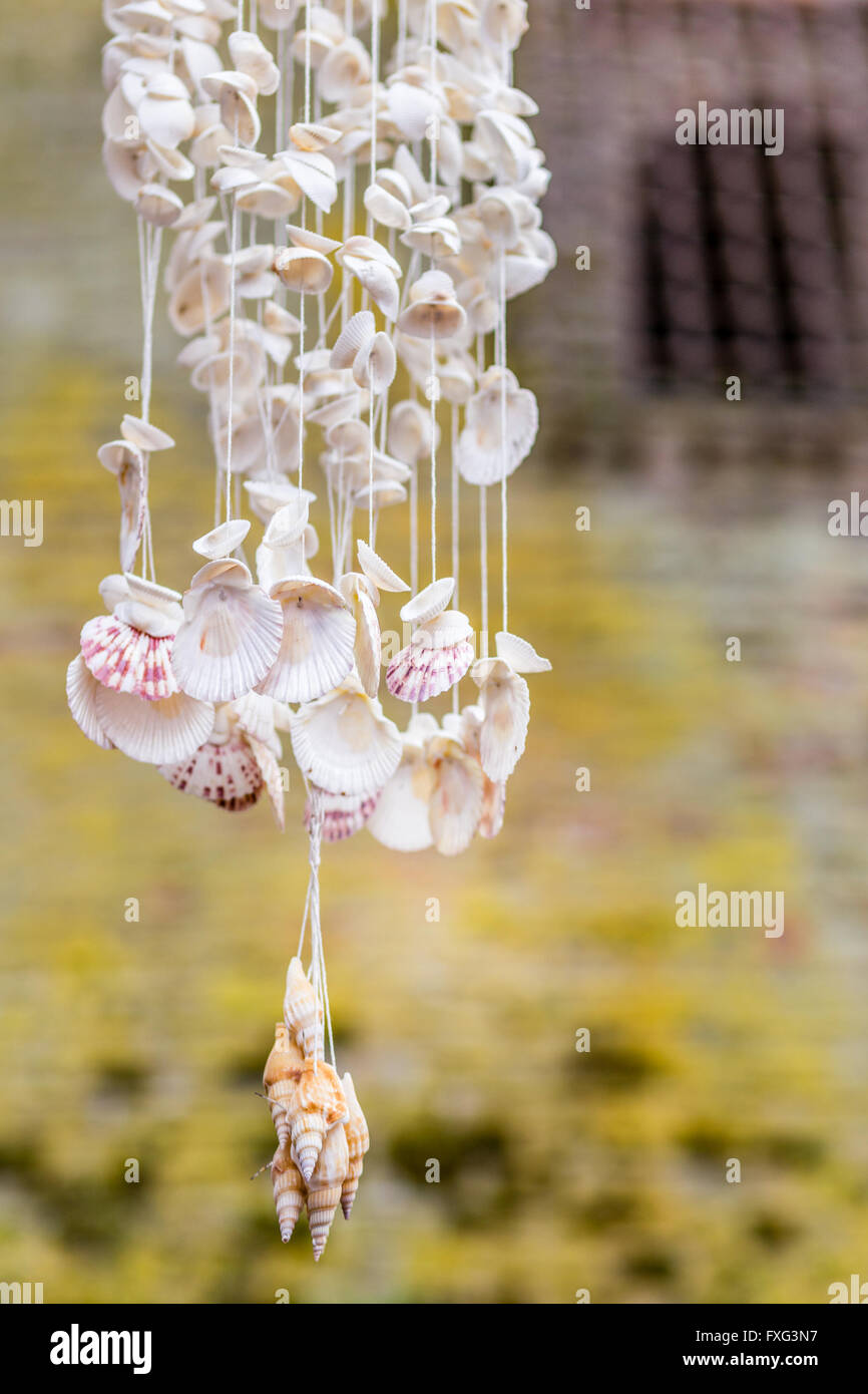 Hanging shells isolated on brick wall background Stock Photo - Alamy