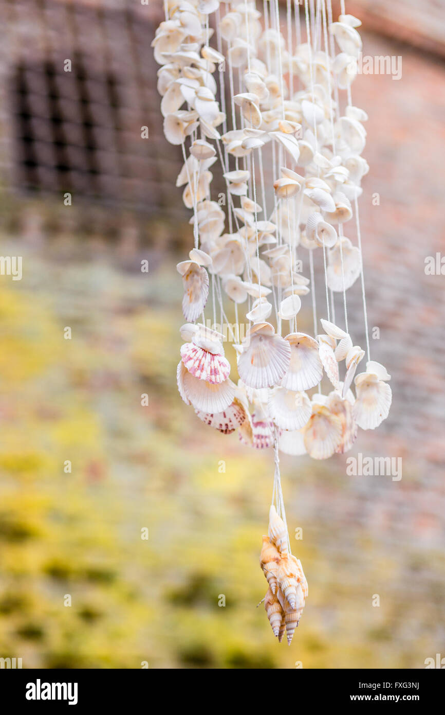 Hanging shells isolated on brick wall background Stock Photo - Alamy